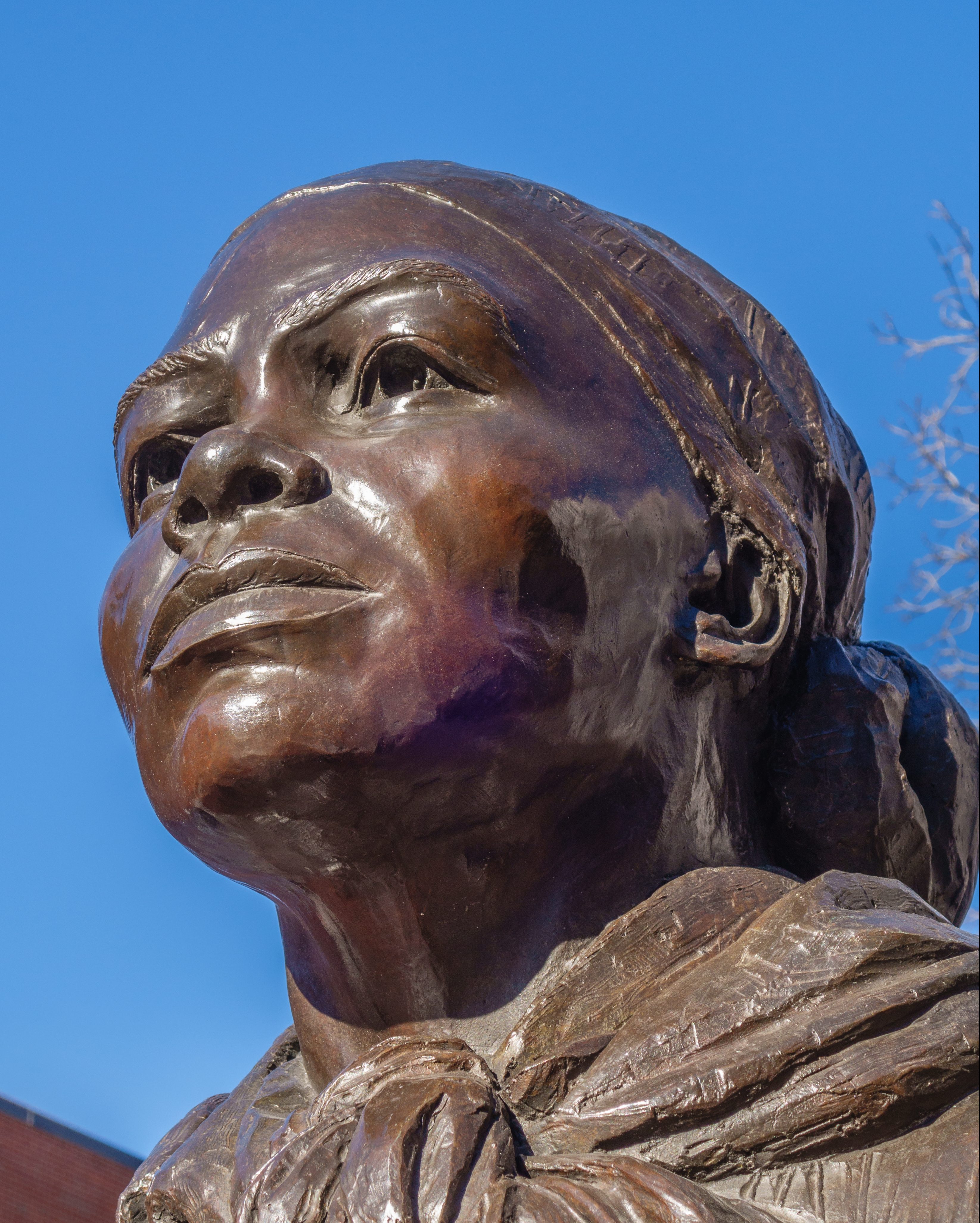 The Modern Moses - The 1440 Review